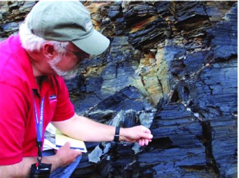 Marcellus Shale Outcrop In Pennsylvania Download Scientific Diagram