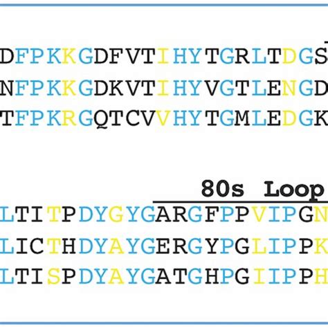 Alignment Of Fkbp12 Sequences Sequence Alignment Of The Fkbp12s From