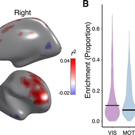 Sex Differences In Cbf Alff Coupling Download Scientific Diagram
