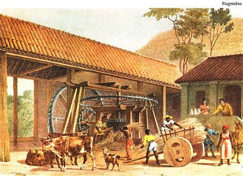 A História Da Capoeira Descubra Como Essa Arte Marcial Se Tornou Um