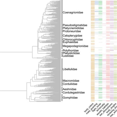 Our Molecular Time Calibrated Phylogenetic Tree Encompassing 1322 Download Scientific Diagram