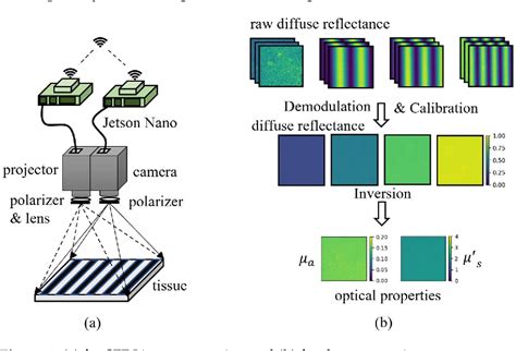 Figure 1 From Extracting Tissue Optical Properties And Detecting Bruised Tissue In Pears Quickly