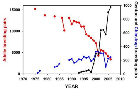 48 Population Trends For Three Penguin Species In The Anvers Island