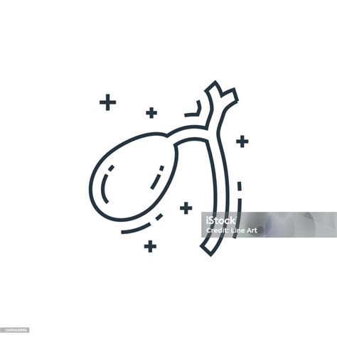 세포 장기 및 의료 대마초 개념에서 담낭 아이콘 벡터 담낭 편집 가능한 뇌졸중의 얇은 선 그림 웹 및 모바일 앱 로고 인쇄에 사용하기 위한 담낭 선형 기호 담즙에 대한 스톡