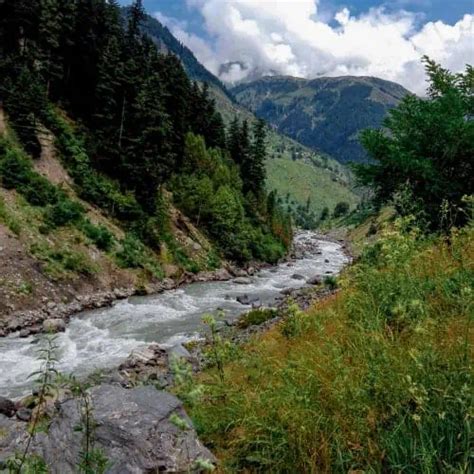 List Of Different Types Of Streams Facts Pics Pond Informer