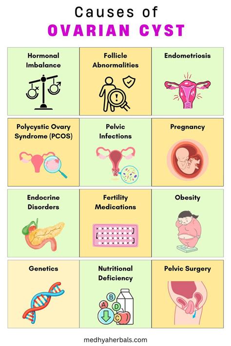 Best 13 Irregular Periods Treatment In Ayurveda A Doctors Guide Artofit