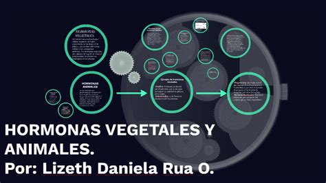 Hormonas Vegetales Y Animales By Angie Rua On Prezi
