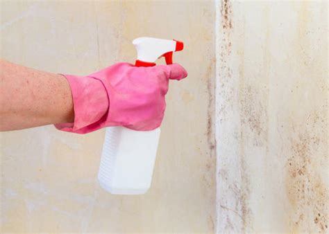 「洗濯物の部屋干しが健康に悪影響を及ぼす可能性がある」と専門家が警鐘を鳴らす