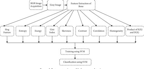 Figure 3 From Bone Cancer Detection Using Feature Extraction Based Machine Learning Model