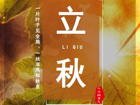 立秋，传统节气帕克西3d试穿试戴 站酷zcool