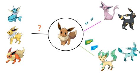 Complete Guide To Eevee Evolution In Pokémon Go