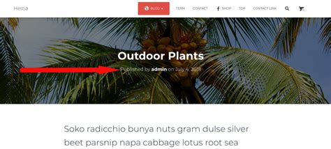 hestia pro hide remove page titles and metadata themeisle docs