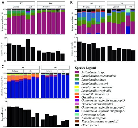Stacked Bar Plots Representing The Relative Abundance Of Bacterial