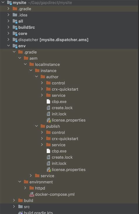 environemtn aem best practices and development guide