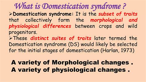 Domestication Of Crop Plants Pptx