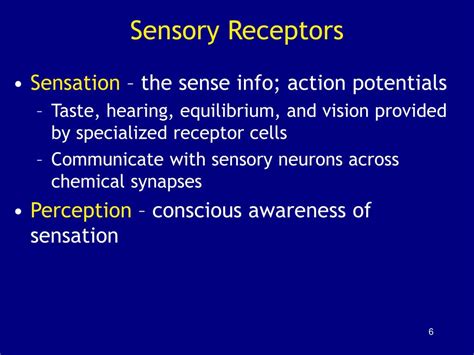 PPT Chapter Neural Integration I Sensory Pathways And The Somatic Nervous System