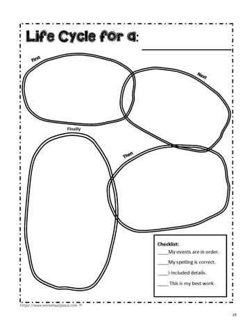 Life Cycle For Worksheets
