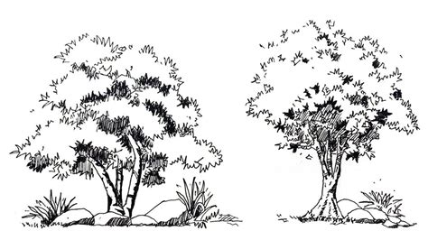 How To Draw Trees With Pen And Ink For Beginners