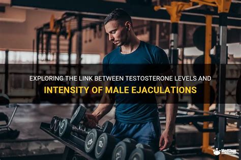 Exploring The Link Between Testosterone Levels And Intensity Of Male