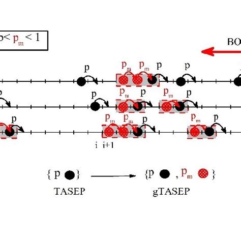 the generalized tasep with open boundaries schematic image time