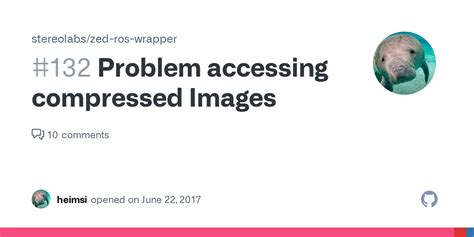 Problem Accessing Compressed Images · Issue 132 · Stereolabszed Ros