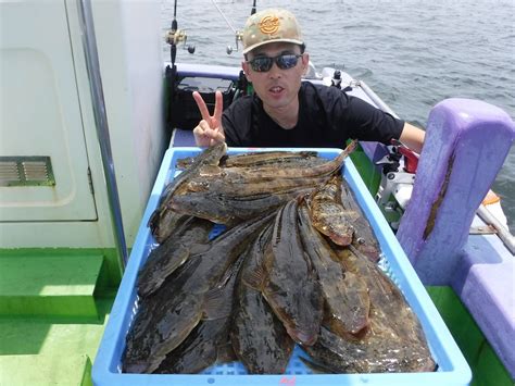 本日も大爆釣！14名で船中98本ゲット！ 富津の釣船 釣り船川崎丸