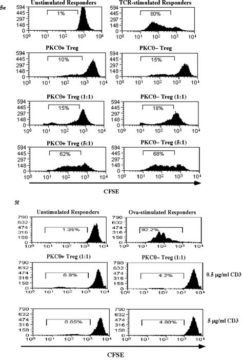 Pkc θ Is Dispensable For Treg Cell Mediated Inhibition Of T Cell