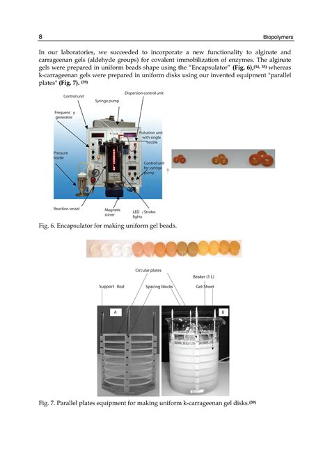 Biopolymers And Their Types And Applicationspdf