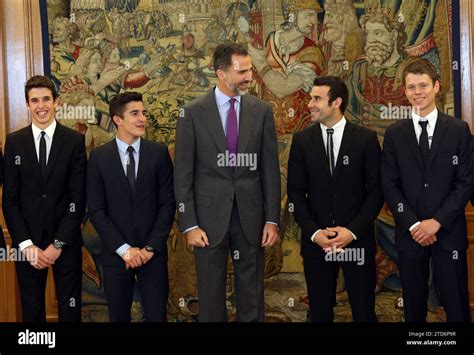 El pardo Madrid 11 20 2014 SAR le Roi Felipe VI reçoit en audience
