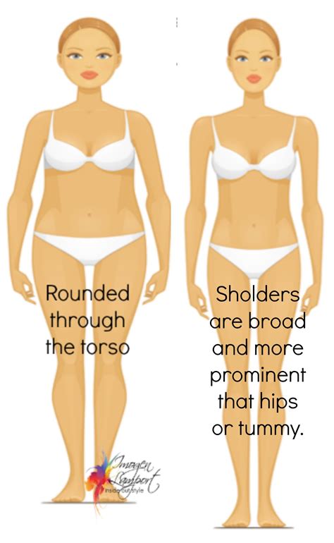 Are The Shoulders Broader And More Prominent Than The Hips Or Tummy
