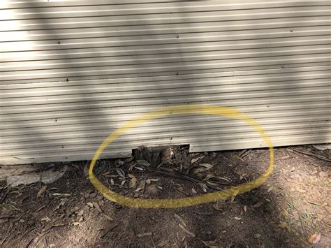 The Definitive Guide To Termite Detection Treatment And Prevention 2024