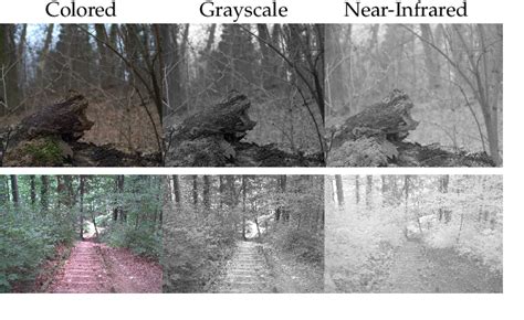 Figure From The Potential Of Diffusion Based Near Infrared Image Colorization Semantic Scholar