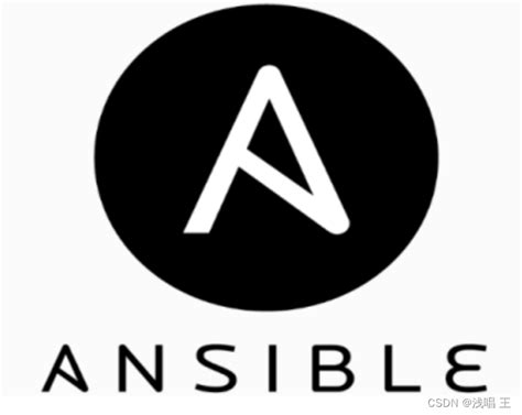 ansible的常见用法 ansible用法 CSDN博客