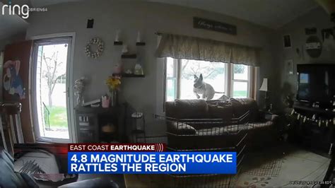 New Jersey Earthquake Aftershock Of 29 Magnitude Reported In Gladstone