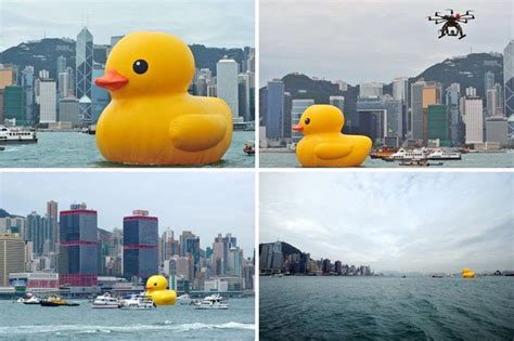 Giant Inflatable Rubber Duck In Hong Kong
