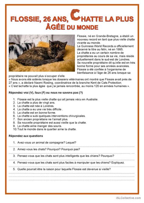 Lecture Facile Flossie La Chatte Français Fle Fiches Pedagogiques