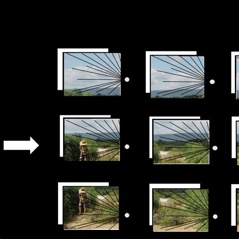 The Design For Patch Normalization Download Scientific Diagram