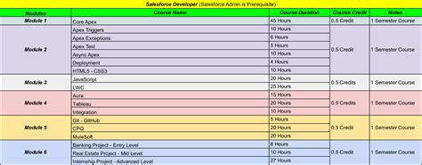 Salesforce Developer Lena Schools