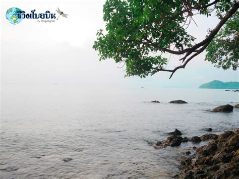 แหลมหงา ต้องมาแล้วนะ