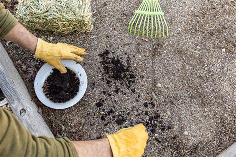 10 Easy Ways To Add Nitrogen To Your Soil