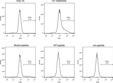Intracellular Staining Of Ifn γ After Stimulation With The Peptides And Download Scientific