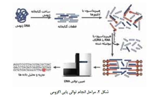 آموزش انواع روش های توالی یابی ژنوم و Dna آشنایی با انواع توالی یابی
