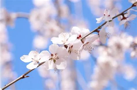今日立春｜春来了，愿你不负春光，不负梦想！澎湃号·政务澎湃新闻 The Paper