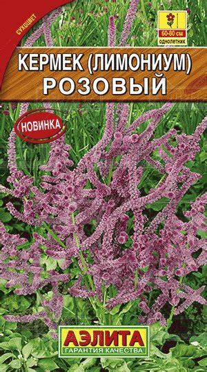 Кермек (лимониум) Розовый купить в Москве в интернет-магазине Семена цветов