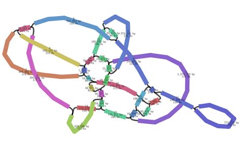 7 6mb大小的植物线粒体基因组 超复杂！ 知乎