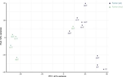 A Hybrid Approach To Assess The Structural Impact Of Long Noncoding Rna Mutations Uncovers Key