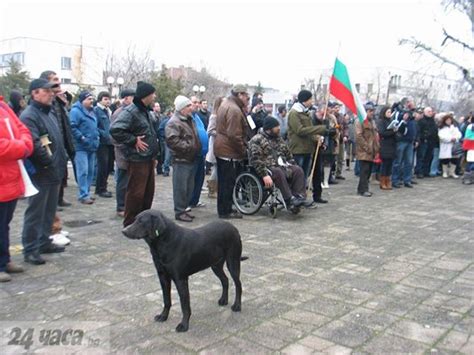 Ухапан от куче осъди община Видин