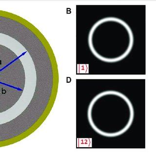 A Illustration Of A Ring Core Fiber RCF B D Profiles Of Download Scientific Diagram
