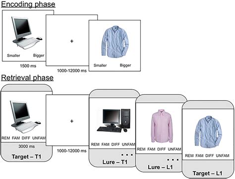 Figure 1 From Modulation Of Target Recollection And Recollection