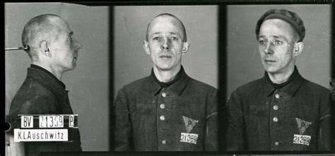 Dee TeamKamala TeamPelosi TeamBiden On Twitter RT AuschwitzMuseum
